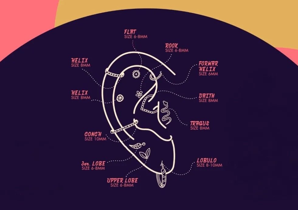 Conoce el nombre de tus piercing – Helix Body Jewelry - Tienda Online ...